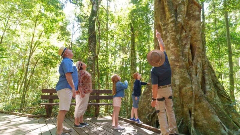 Gold Coast: Lamington Treetops, Wildlife and Vineyard Visit - What Makes This Tour Stand Out?