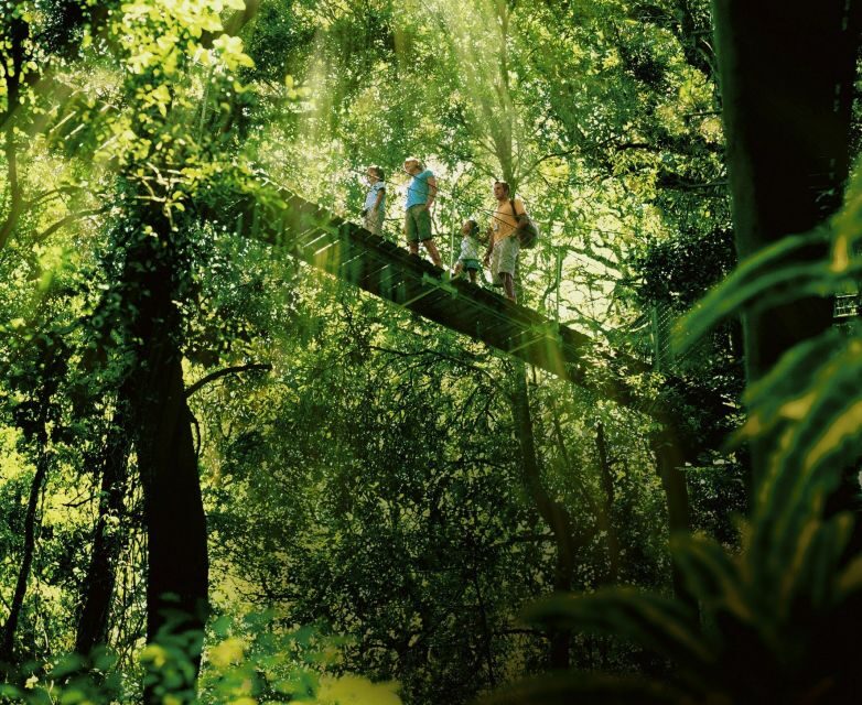 Gold Coast: Lamington Treetops, Wildlife and Vineyard Visit - The Sum Up: Who Is This Tour Best For?
