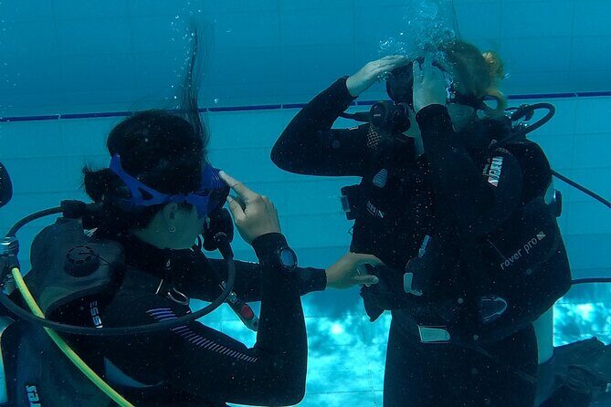 Gold Coast Learn to Dive  Open Water Certification Course - Practical Tips for Future Divers