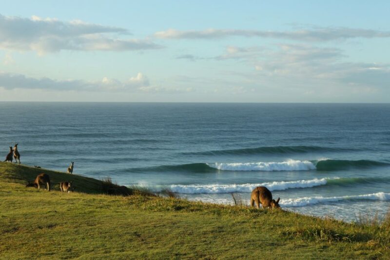 Gold Coast: Learn to Surf Experience with Lunch & Activities - Key Points