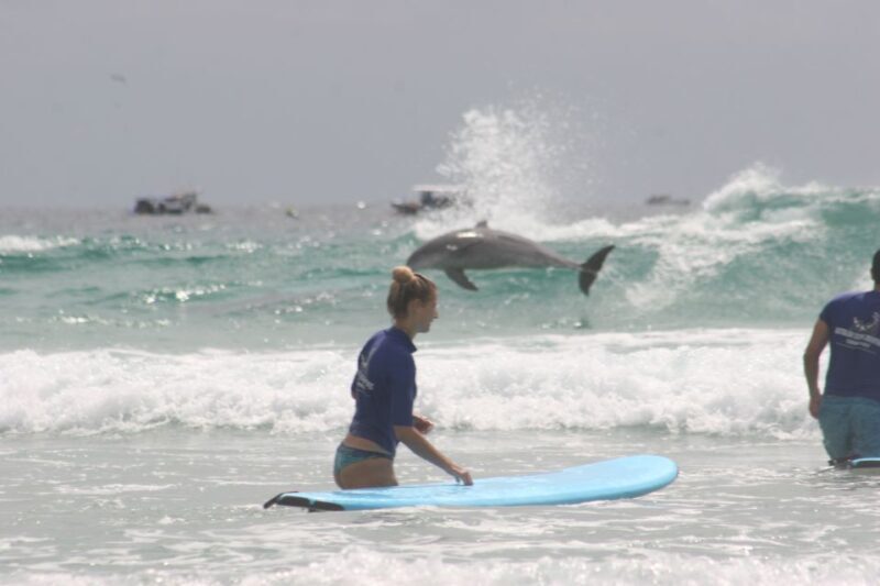 Gold Coast: Learn to Surf Experience with Lunch & Activities - How It Compares to Other Experiences