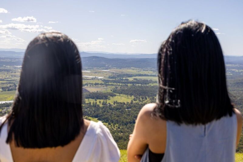 Gold Coast: Luxury Wine Tour with Gourmet Lunch & Distillery - Practical Tips for Travelers