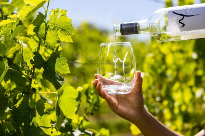 Gold Coast: Luxury Wine Tour with Gourmet Lunch & Distillery - Frequently Asked Questions
