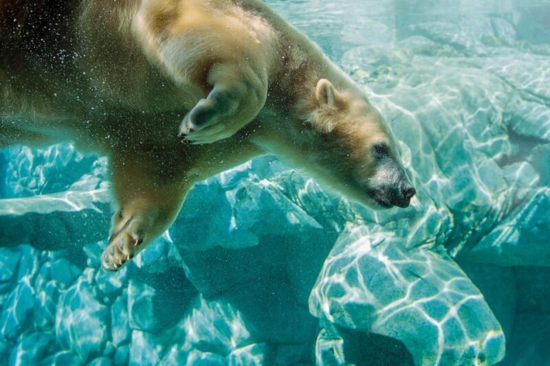 Gold Coast: Movie World, Sea World, Wet'n'Wild 14-Day Pass - Who is this pass best suited for?