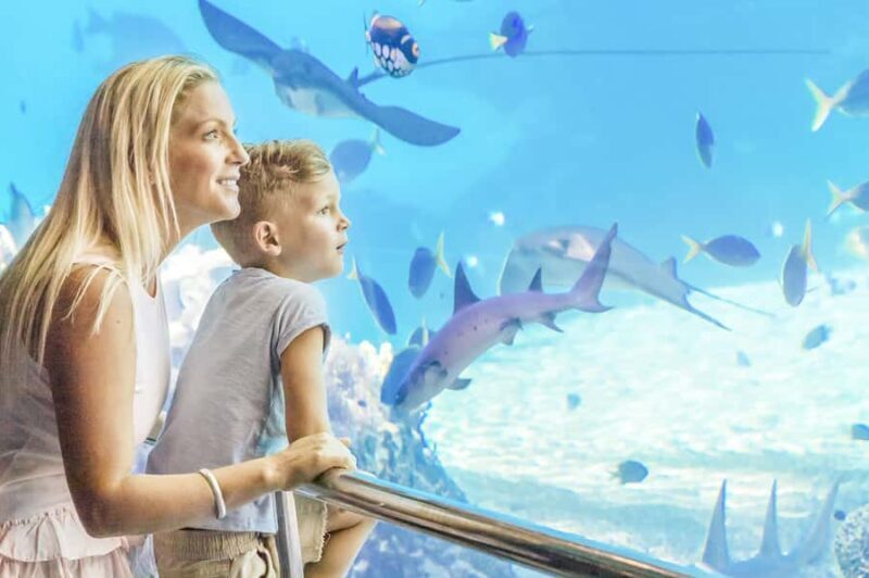 Gold Coast: Movie World, Sea World & Wet'n'Wild 7-Day Pass - Exploring the Four Parks: What to Expect and Why They Matter