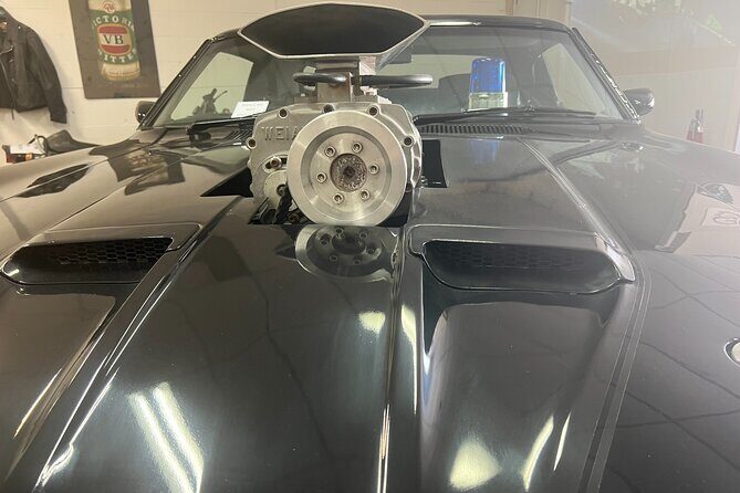 Gold Coast Muscle Car Museum - How the Reviews Shape the Experience