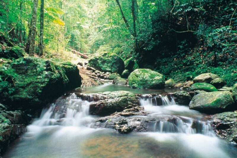 Gold Coast: Natural Bridge Glow Worm Night Tour - Realities from the Reviews