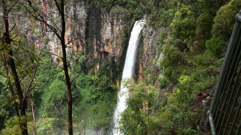 Gold Coast: Natural Bridge & Springbrook Waterfalls Tour - FAQs