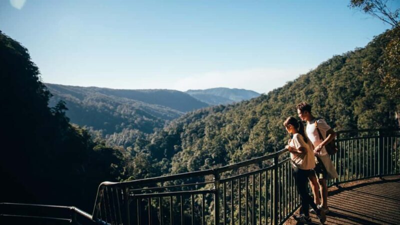 Gold Coast: Natural Bridge & Springbrook Waterfalls Tour - Final Thoughts
