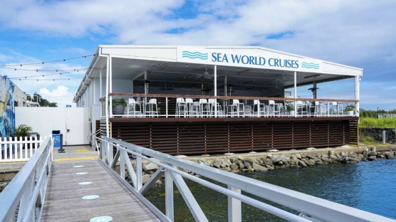 Gold Coast: Premium Whale Watching Cruise - The Sum Up
