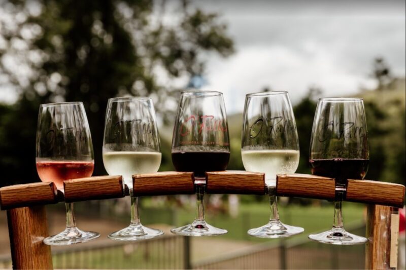 Gold Coast: Private Winery Tour in a New Luxury Vehicle - An Honest Look at the Gold Coast Private Winery Tour