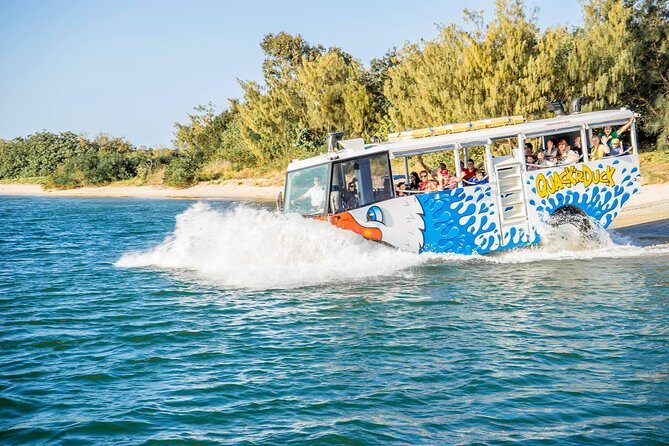 Gold Coast Quack'rDuck Amphibious Tour from Surfers Paradise - What to Expect from the Tour: A Complete Breakdown