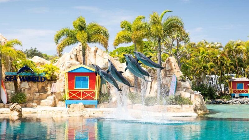 Gold Coast: Sightseeing Hop-on Hop-off Cruise - FAQs