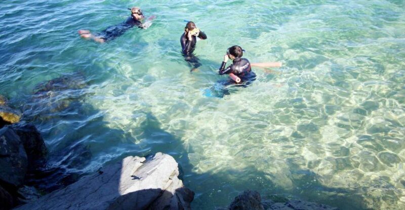 Gold Coast: Snorkelling in Wave Break Island - Practicalities and Tips