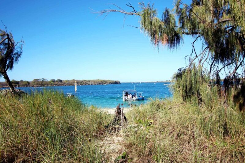 Gold Coast: Snorkelling in Wave Break Island - The Sum Up