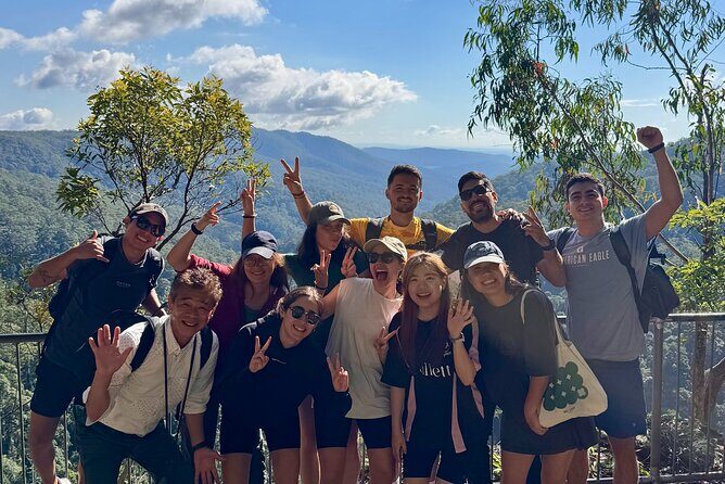 Gold Coast: Springbrook 7 Waterfalls and Natural Bridge Day Tour - The Experience: What You Can Expect