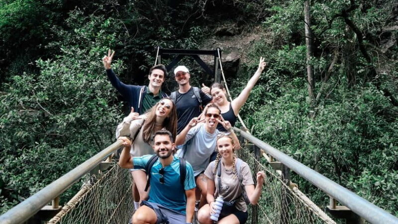 Gold Coast: Springbrook 7 Waterfalls and Natural Bridge Tour - Key Points