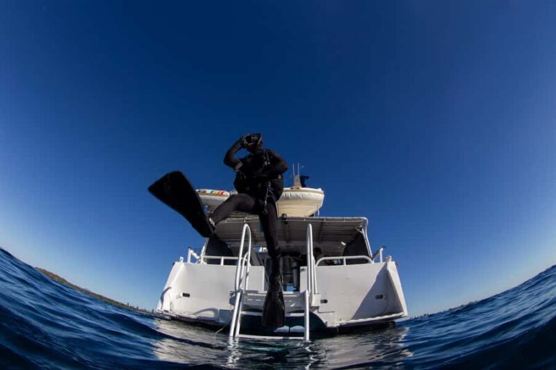 Gold Coast: SSI Open Water Diver Course - Key Points