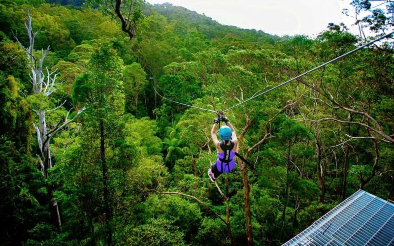 Gold Coast: Tamborine Mountain Canyon Flyer Zipline Tour - Discovering the Zipline Experience