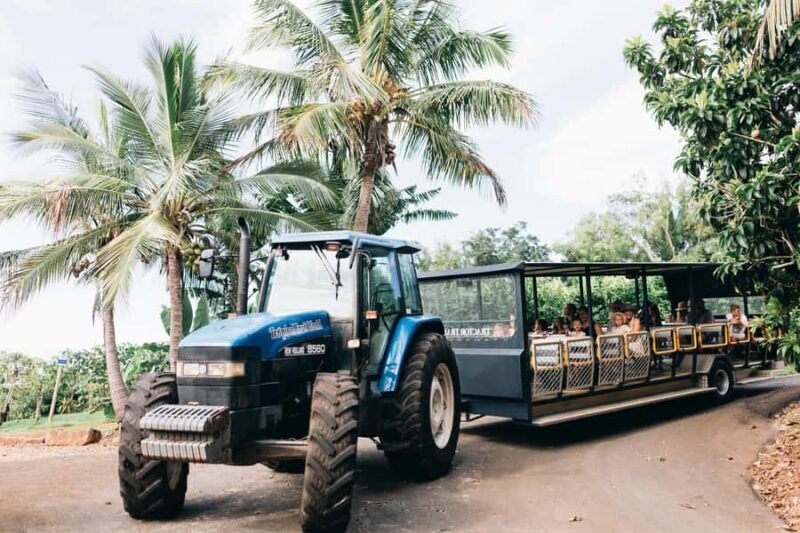 Gold Coast: Tropical Fruit World Full Farm Tour - A Detailed Look at the Full Farm Tour