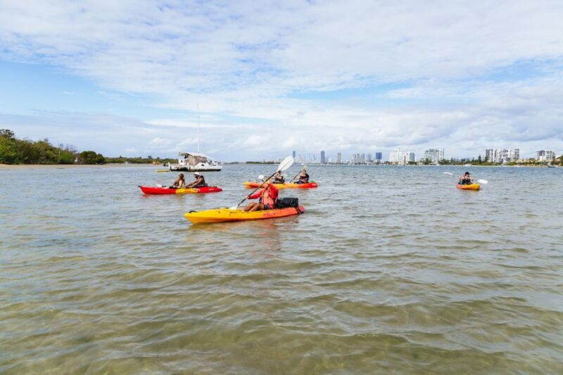 Gold Coast: Wave Break Island Kayaking & Snorkeling tour - Whats Included and Practicalities