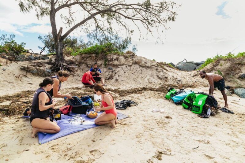 Gold Coast: Wave Break Island Kayaking & Snorkeling tour - The Value of This Tour