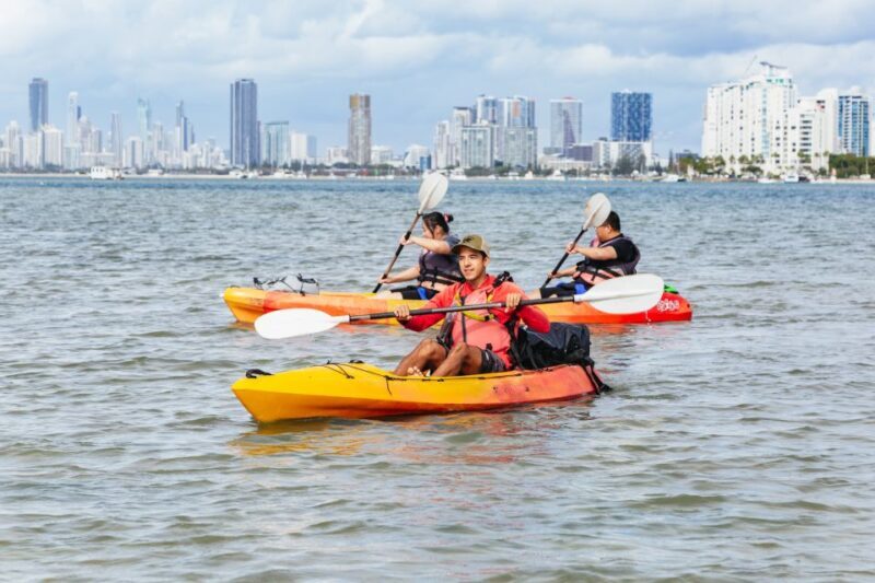 Gold Coast: Wave Break Island Kayaking & Snorkeling tour - Who Will Love This Activity?