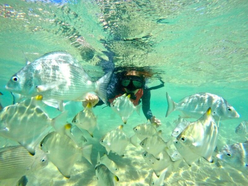 Gold Coast: Wave Break Island Kayaking & Snorkeling tour - Final Thoughts