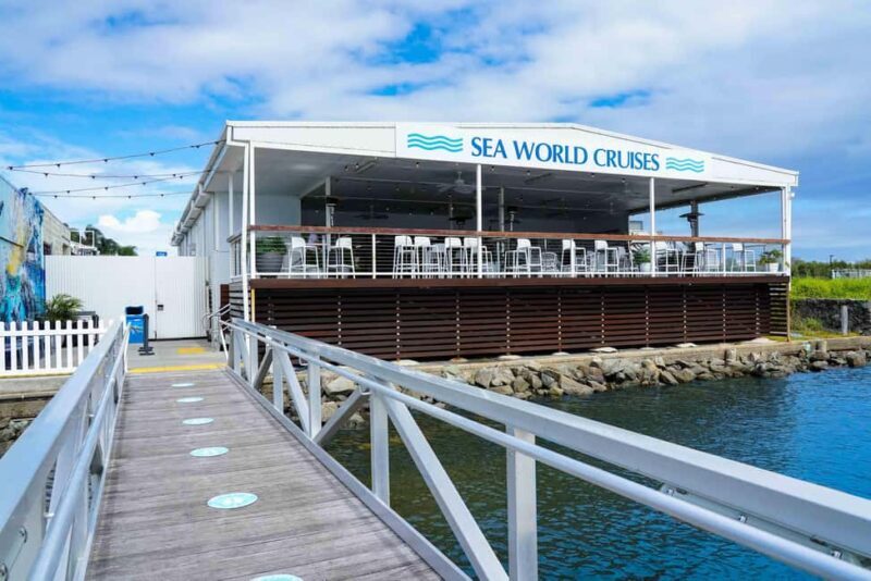 Gold Coast: Whale Watching Cruise & Sea World Entry - Who Will Enjoy This Tour?