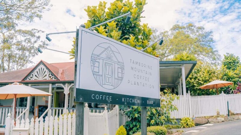 Gold Coast: Wine, Distillery & Rainforest Day Tour - Is This Tour Right for You?