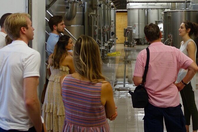 GOLD EXPERIENCE - Winery tour & tasting at Villa Corniole - Context and Experience