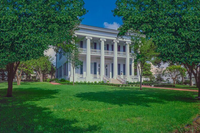 Golden Austin Adventures: A Seniors Walking Delight Tour - Wooldridge Square