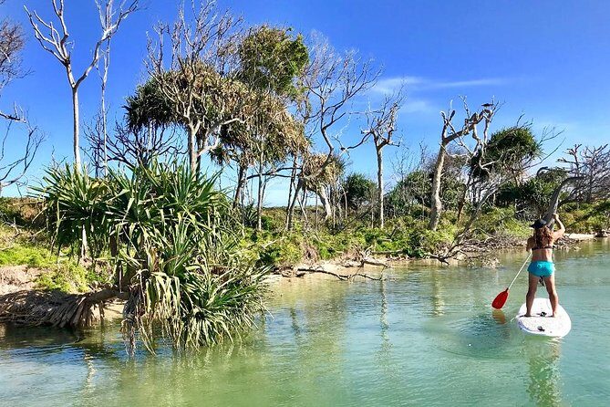Golden Beach 1-Hour Stand-Up Paddleboard Hire on the Sunshine Coast - An Introduction to the Golden Beach SUP Experience