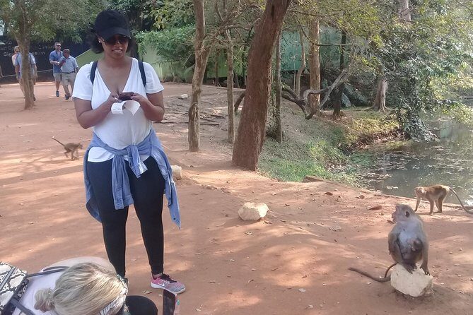 Golden beach Negombo to lion rock sigiriya hiking - FAQ: Common Questions About the Tour