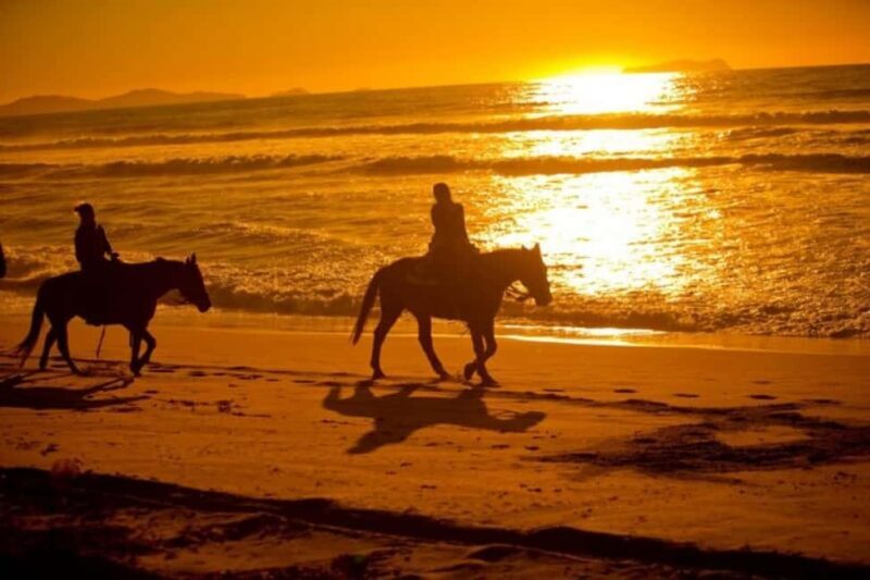 Golden Beach Sunrise: Horse Riding - An Honest Look at the Golden Beach Sunrise Horseback Ride