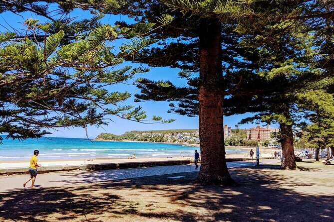 Golden Beaches and Ocean Vistas MANLY AND NORTHERN BEACHES PRIVATE TOUR - Discovering the Golden Coastline: A Review of the Manly and Northern Beaches Private Tour