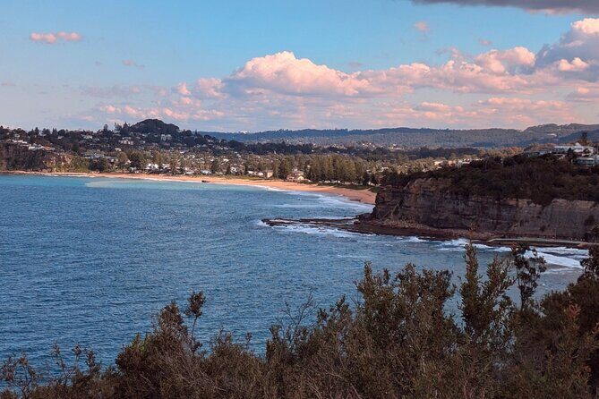 Golden Beaches and Ocean Vistas MANLY AND NORTHERN BEACHES PRIVATE TOUR - Authenticity and Local Flavor