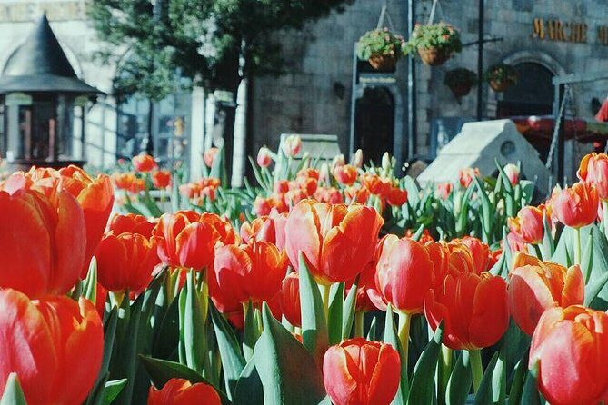 Golden Bridge and Ba Na Hill Full day tour from Hoi An/ Da Nang - What to Expect: A Deep Dive Into the Itinerary