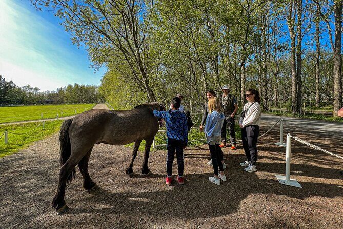 Golden Circle and Lunch at Fridheimar Tomato Farm - with photos - Practical Tips for Travelers