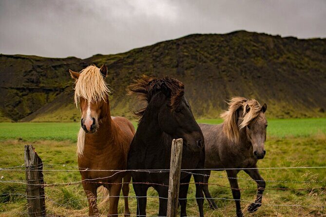Golden Circle Cruise Arrival: Exclusive Small Group Tour - The Perfect Icelandic Day from the Shore