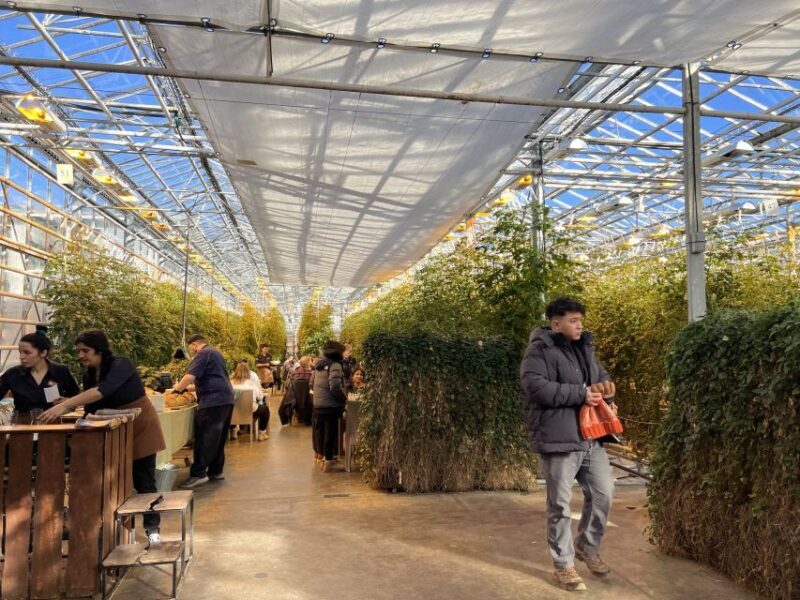 Golden circle, hot spring bakery, tomato farm private tour - Final Thoughts