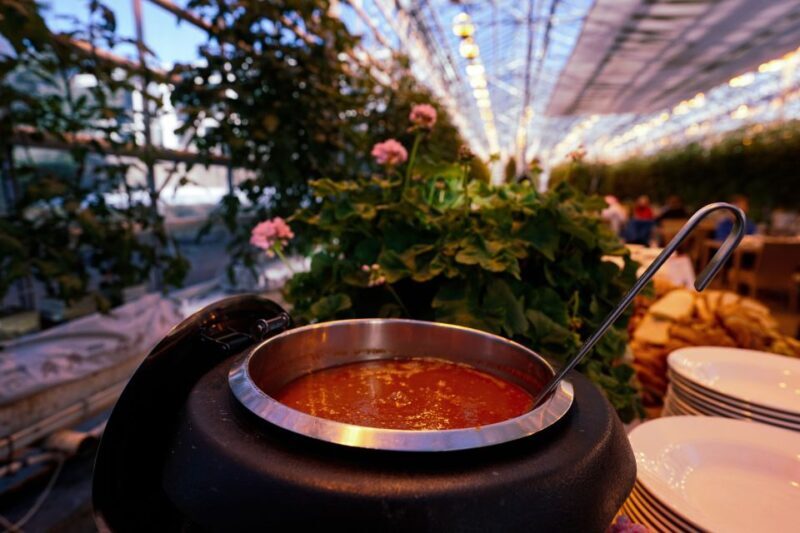 Golden Circle & Lunch at Fridheimar Tomato Farm- with photos - Key Points