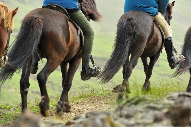 Golden Circle & Viking Horse Experience - Duration and Timing: Is It Worth the Price?