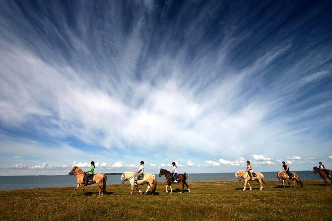 Golden Circle & Viking Horse Experience - Practical Tips for Your Trip