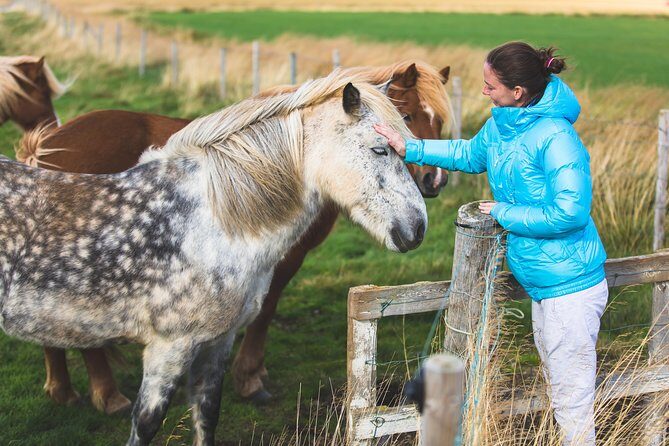 Golden Circle & Viking Horse Experience - Frequently Asked Questions
