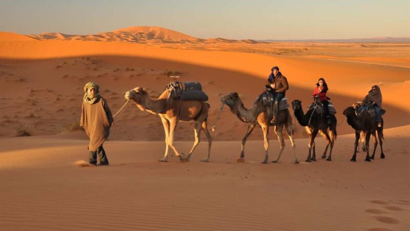 Golden City Of Rajasthan, Jaisalmer Desert Tour (02 Days) - The Sum Up