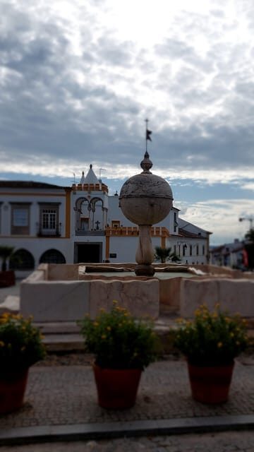 Golden Era of Évora walking & the portuguese wine tasting. - The Highlight: Portuguese Wine Tasting with Vanessa Schnitzer