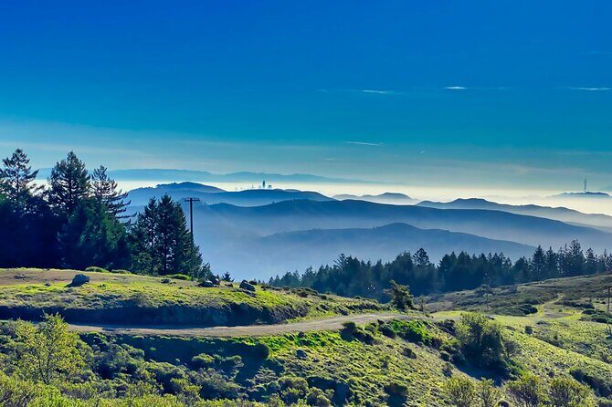 Golden Gate Bridge Bike Tour with Muir Woods & Sausalito Tour - FAQs