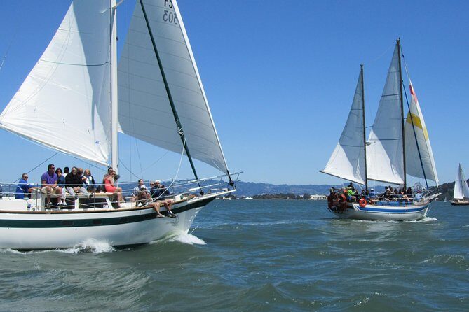 Golden Gate Bridge Sailing Tour - Authentic Insights from Reviews