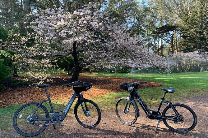 Golden Gate Park Electric Bike Rental - The Itinerary and Highlights
